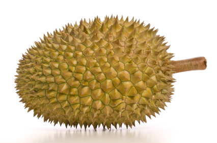 Tatabahasa Bahasa Malaysia: Penjodoh Bilangan