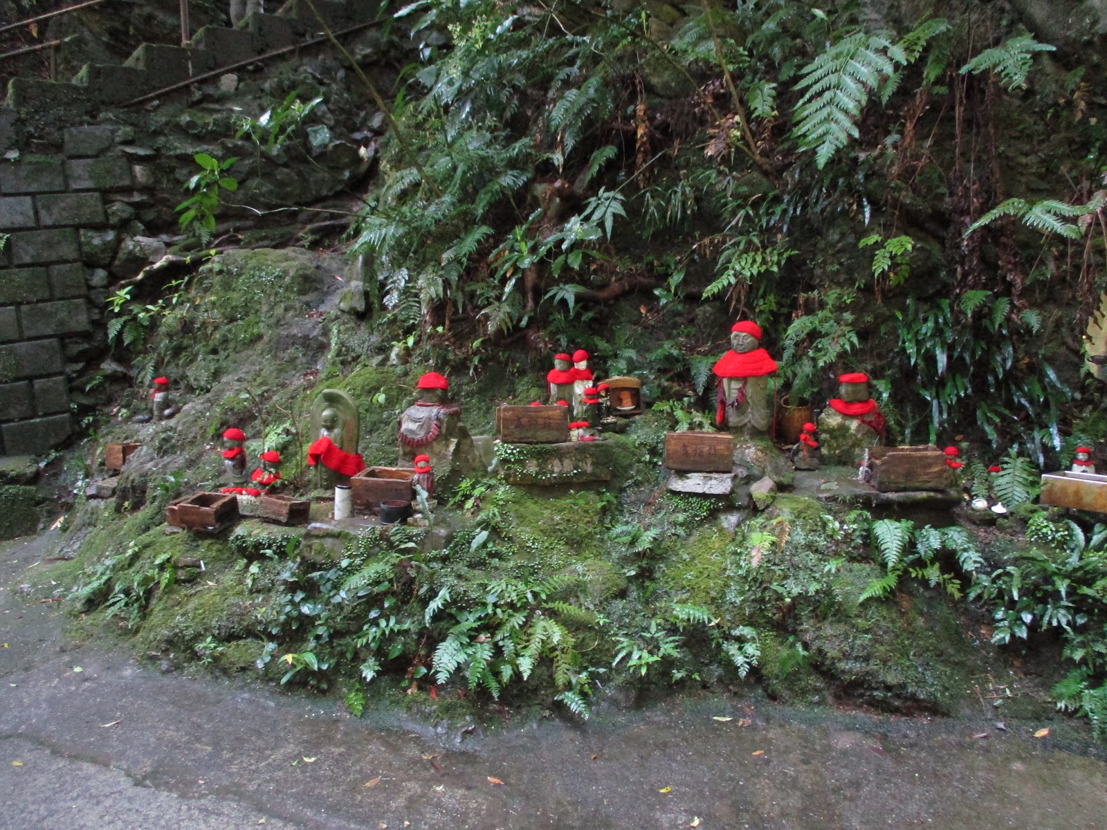 Hokkaido Kudasai: The Moss Head is Missing