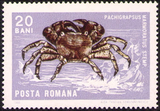 Timbre filatelice: Timbre cu moluste si crustacee
