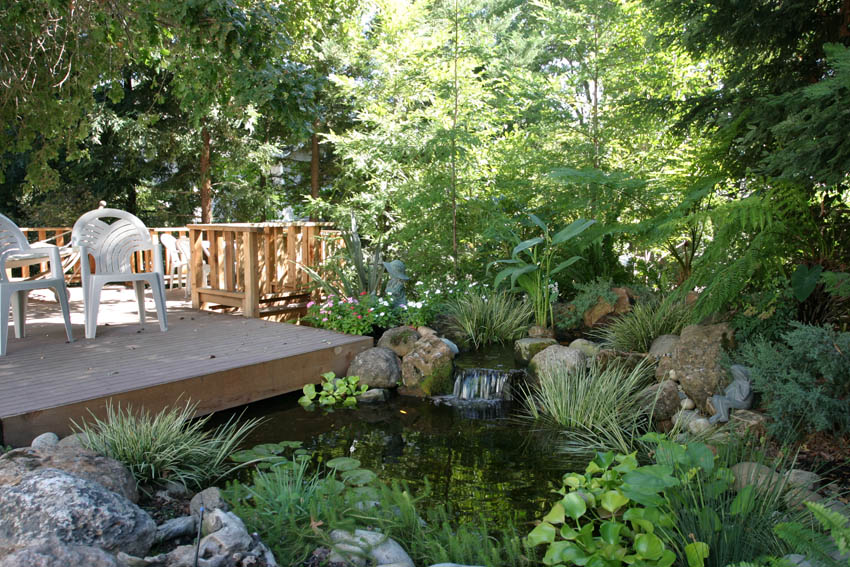 Aquascape Your Landscape: Every Deck Needs a Pond
