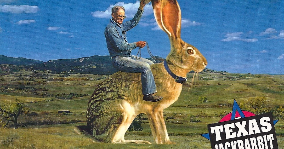 My Favorite Funny Postcards: Texas Jackrabbit