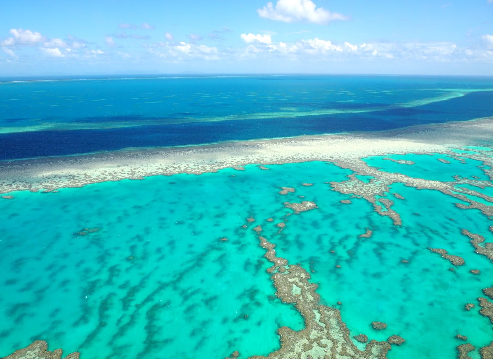 2020-02-17 Eastern Australia: 2020-03-16 – Hardy Reef and the Heart of ...