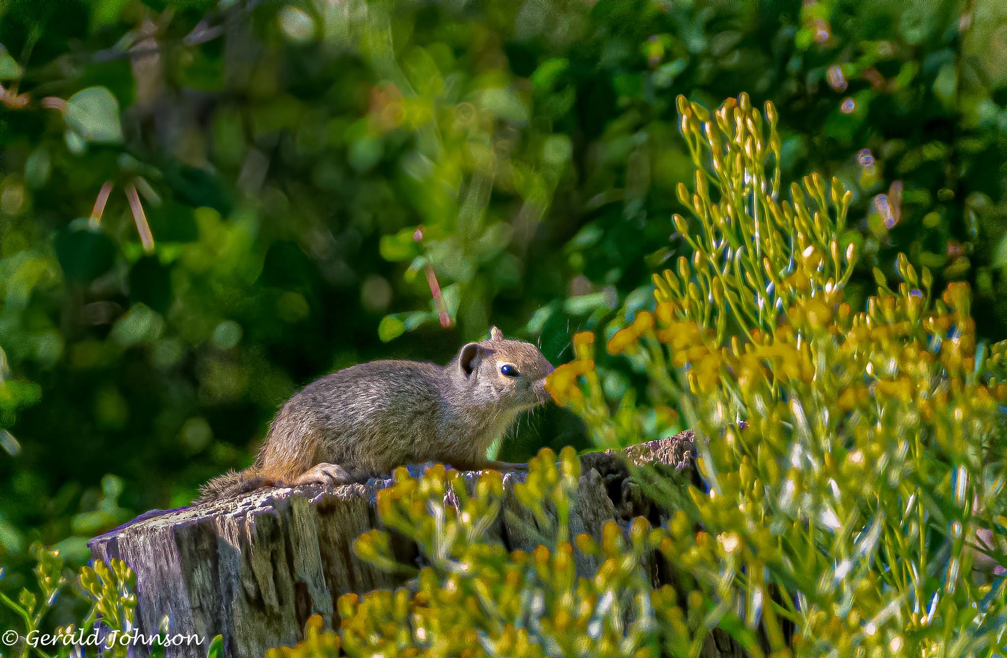 Gerry's Place: Manti-La Sal mountains