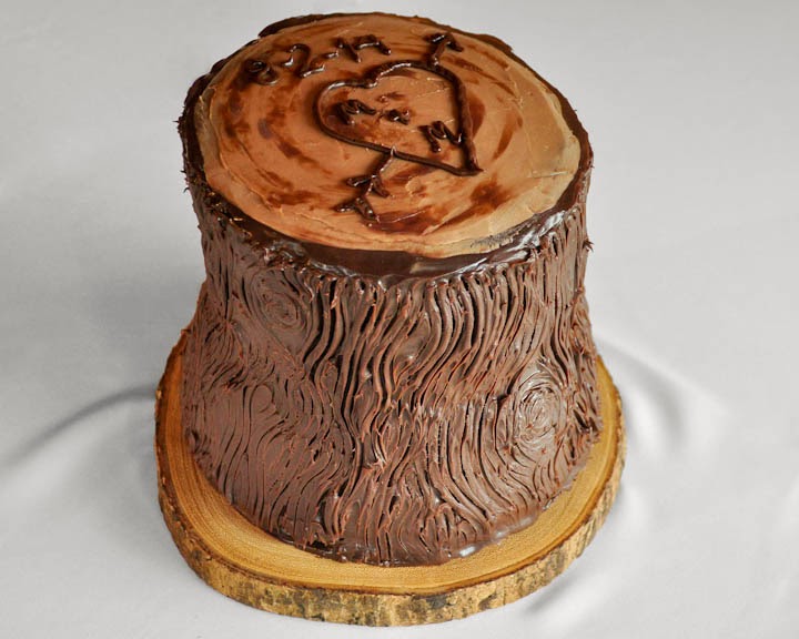 Tree Trunk or Tree Stump Cake - CakeYep