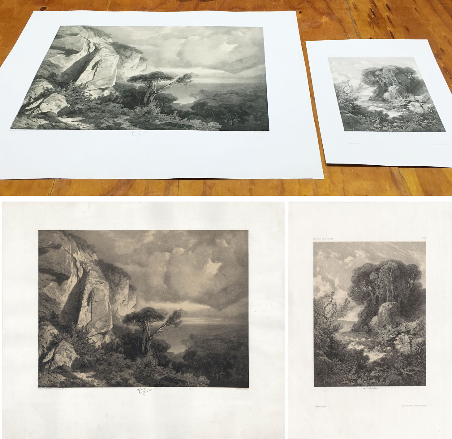 Prints and Principles: Alexandre Calame’s lithographs