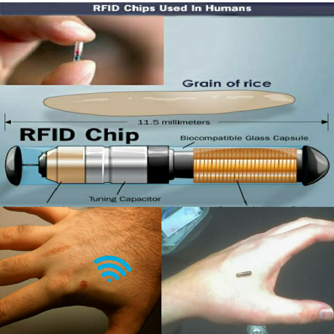 fortenarocha: ESPANTOSA SEMELHANÇA ENTRE O BIOCHIP RFID E APOCALIPSE 13 ...