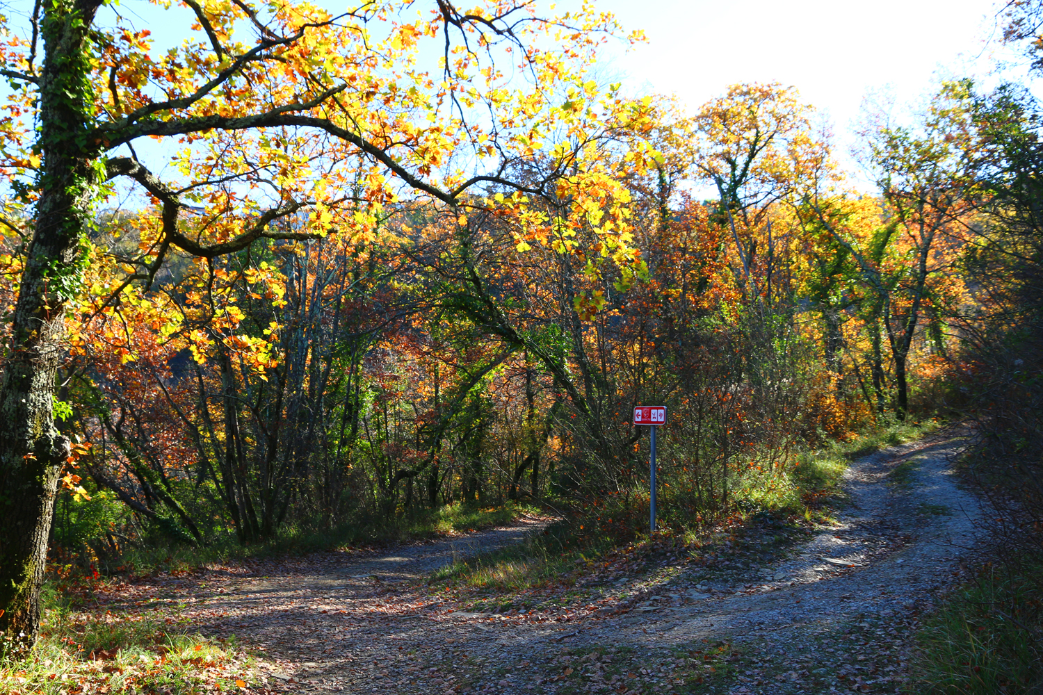 Fotoreportaže iz potovanj. Svet kot ga vidim.: Izolske pešpoti: Cetore ...