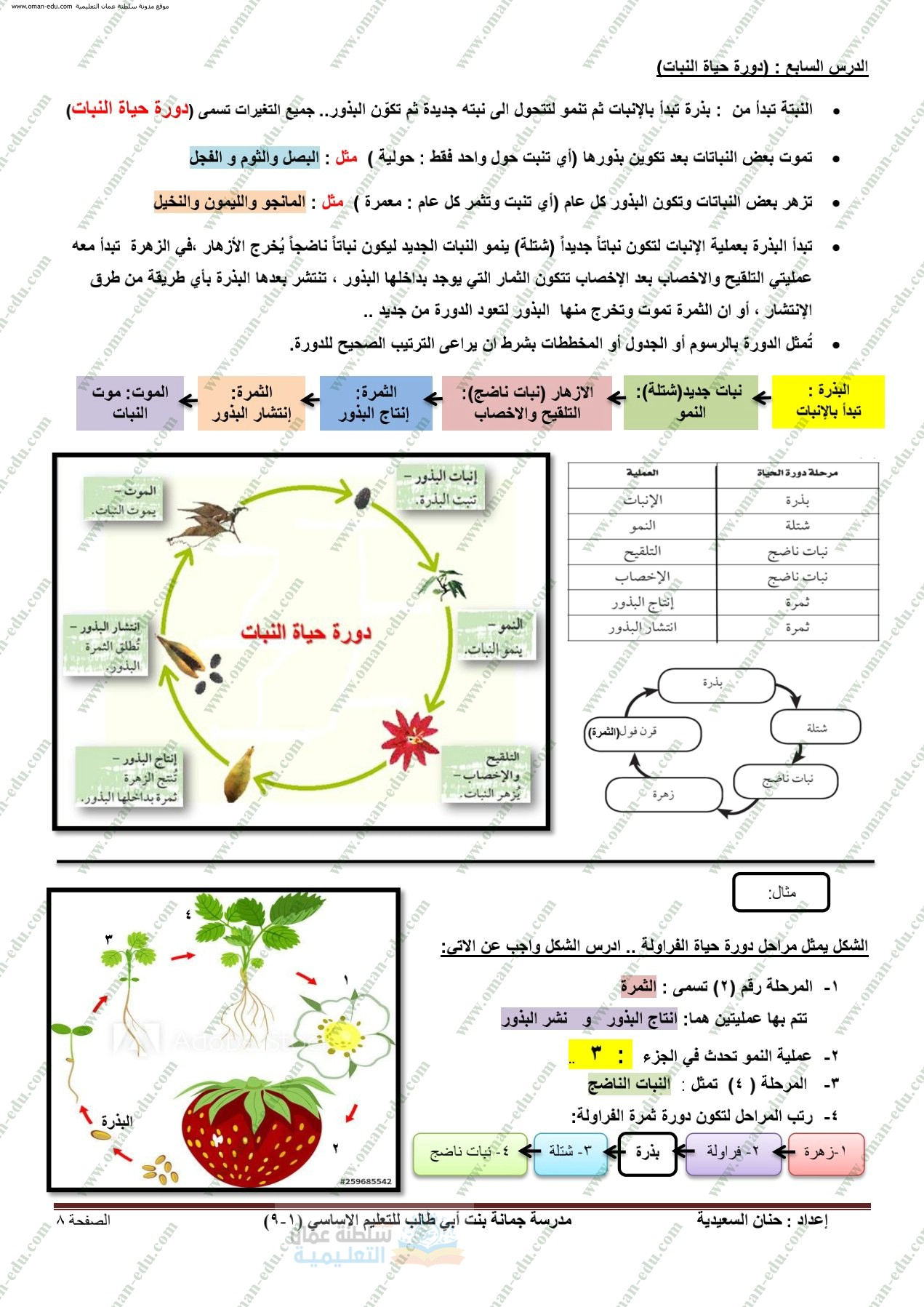 ملخص دورة حياة النباتات الزهرية للصف الخامس الفصل الأول