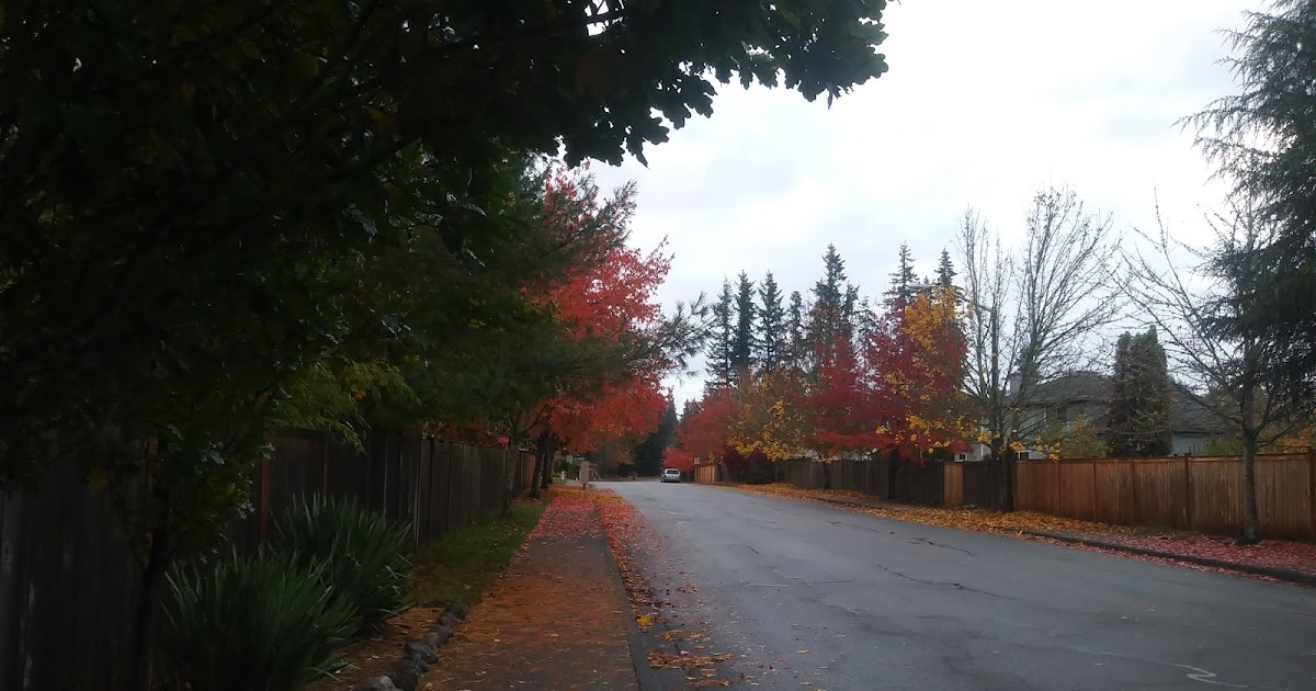 Barers of Maple Valley: Fall Colors