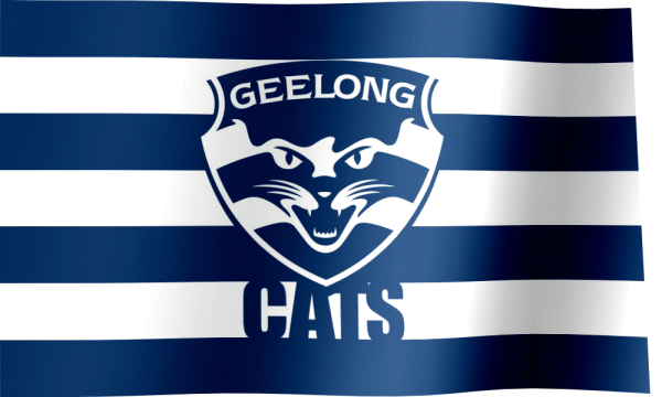 Geelong Football Club Fan Flag (GIF) - All Waving Flags