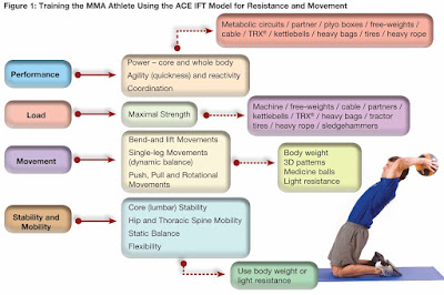 การออกแบบโปรแกรมฝึกตามแนวคิด ACE Integrated Fitness Training™ (ACE IFT ...