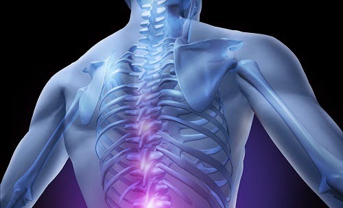 Physiotherapy and Anatomy: Fibrositis