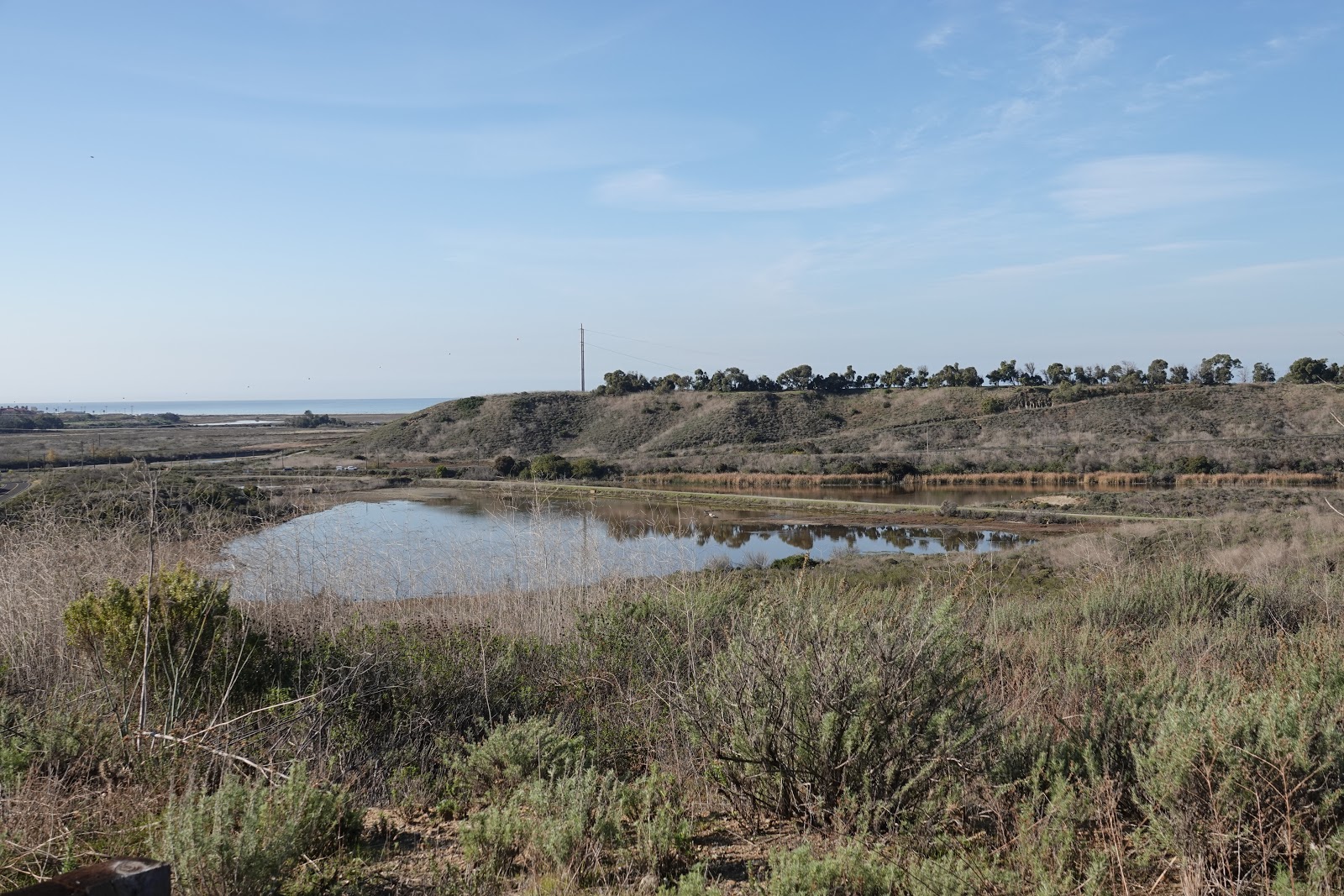 Looking for Ponds: MB Camp Pendleton Ponds