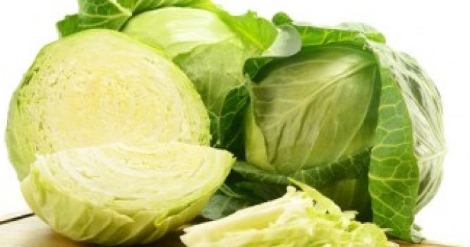 health news: 10 FABULOUS HEALTH BENEFITS OF CABBAGE