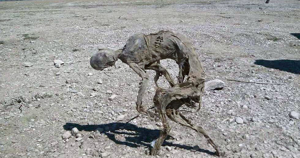 Un cadavre momifié étrange se trouve à Chihuahua, Mexique