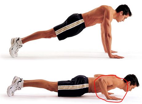 Belajar Push Up yang Benar untuk Pemula