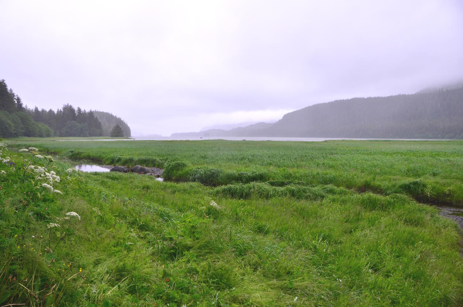Safe Harbour: Day 25-Taku Harbor to Oliver Inlet