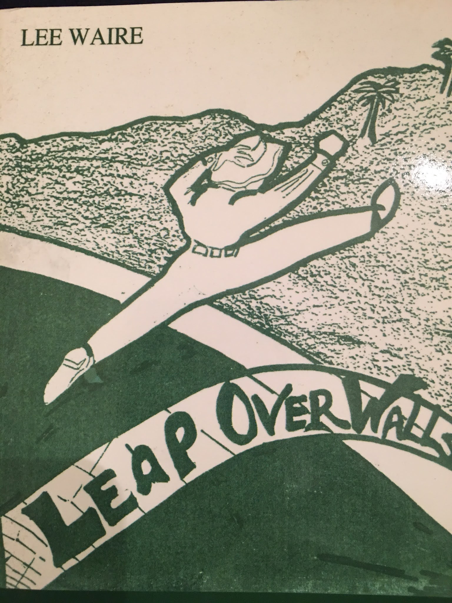 Leap Over Walls: February 2021