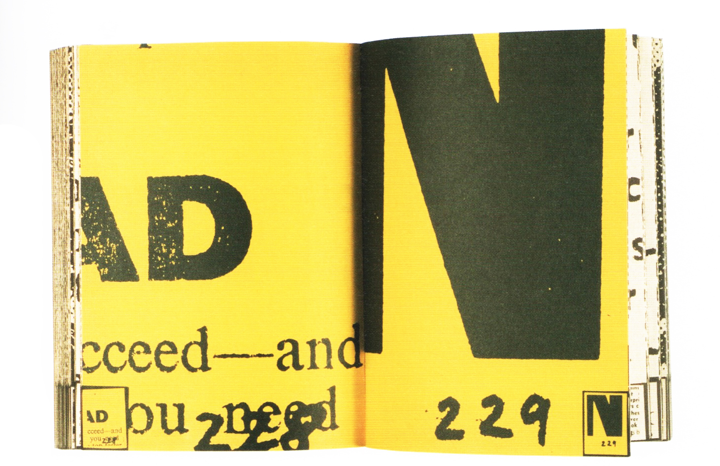 Artists' Books and Multiples: Dieter Roth