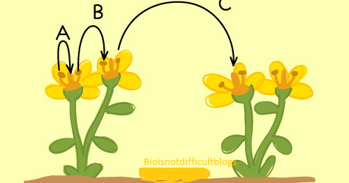 Self-Pollination & Cross- Pollination And Their Controversies