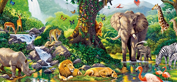 Mundo Animal: ANIMALES TERRESTRES