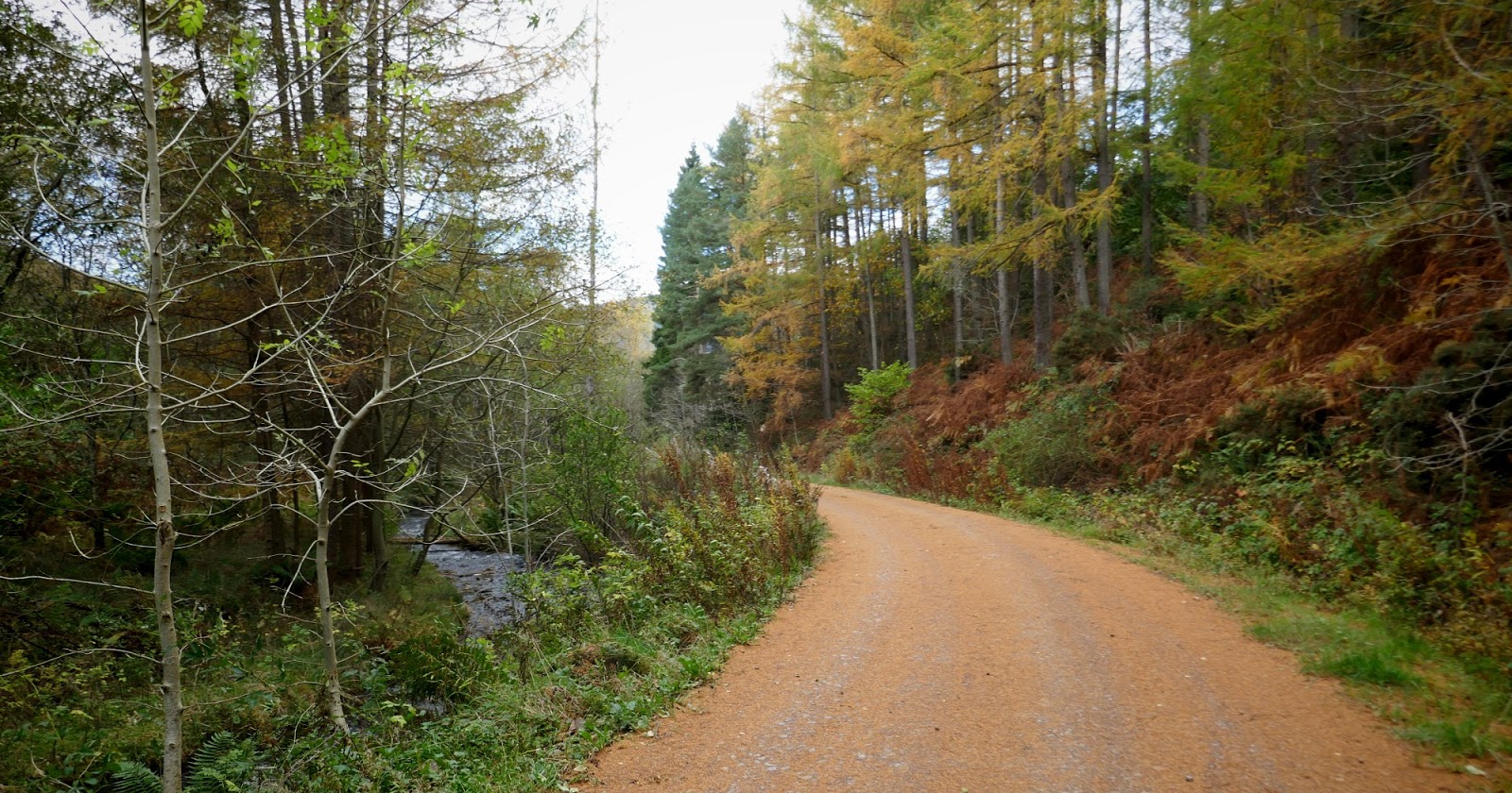 best part of the day: Tweed Valley Ultra Recce and Oct TB