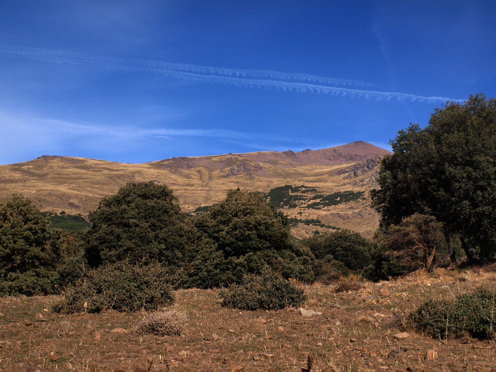 Caminando por Sierras y Calles de Andalucía: Almiar (Cañar - Granada)