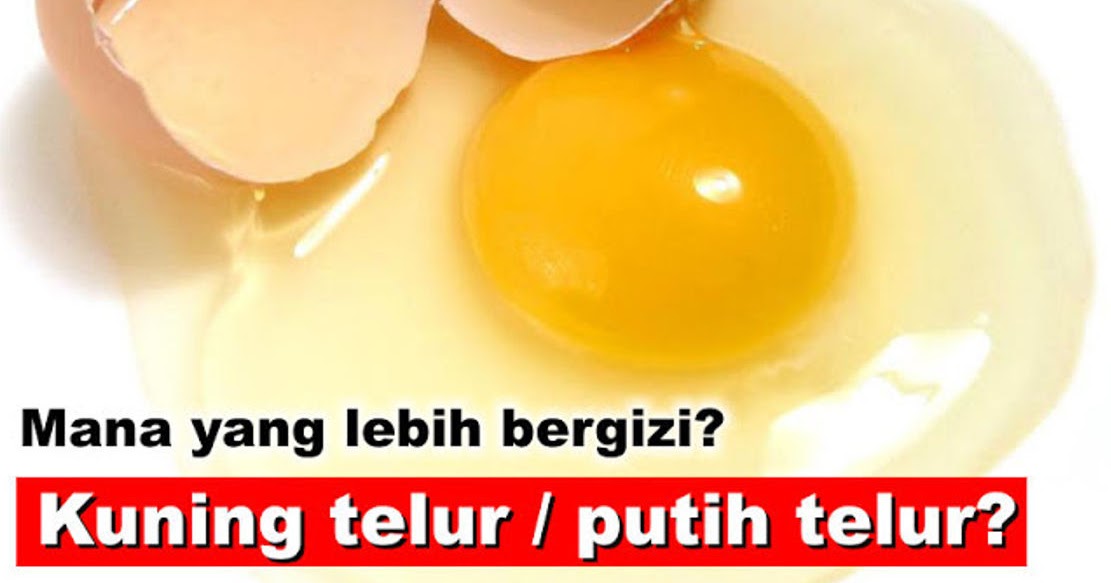 Mana yang lebih bergizi? Kuning telur atau putih telur? | zeropromosi ...