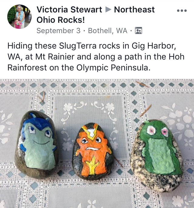 Northeast Ohio Rocks!: Northeast Ohio Rocks! in all 50 States..Cuatro!