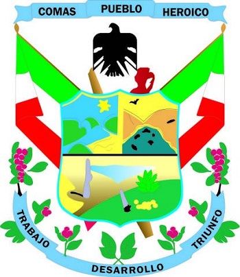 Municipalidad Distrital de Comas (Concepcion) en Comas