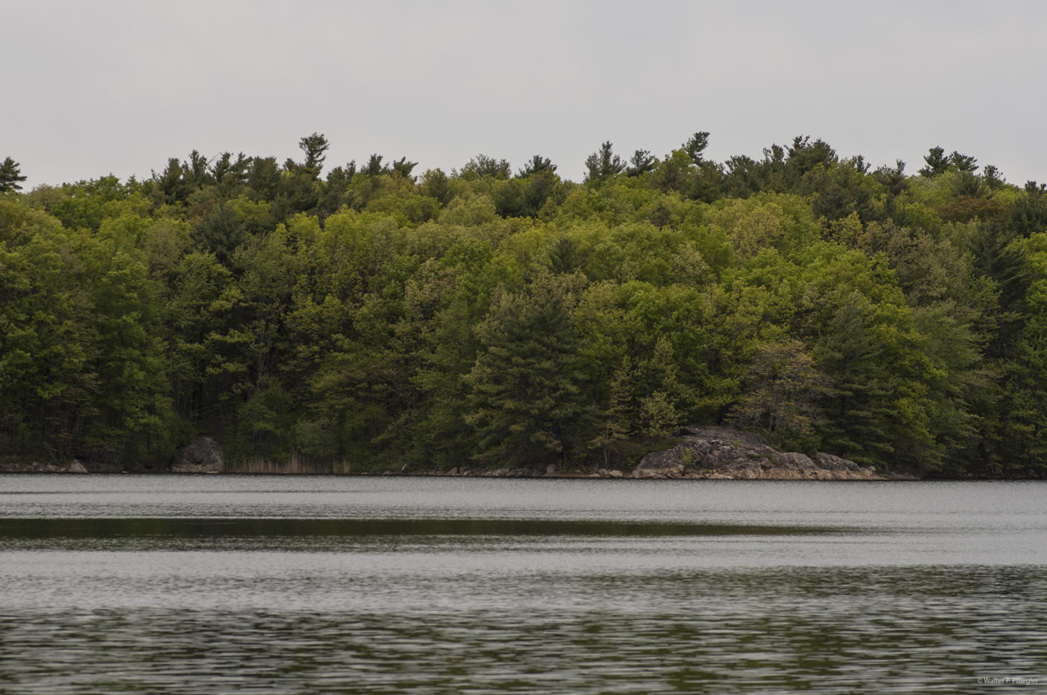 Nature photos from an Amateur Naturalist: Middlesex Fells Reservation ...