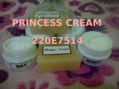 Jual Skin Care Aman, Ampuh, dan Banyak Testi: (GAMBAR) PRINCESS CREAM ...