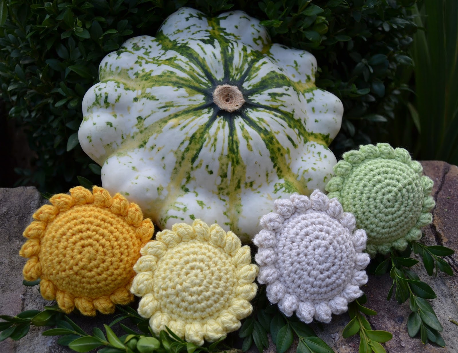 Pattypan Squash (Tutorial) – Patisson Kürbis (mit Anleitung)