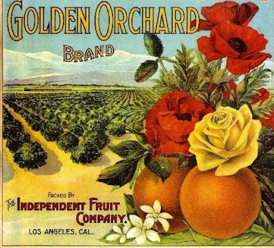 fruit crate label art: CALIFORNIA CITRUS LABELS WITH FLOWERS
