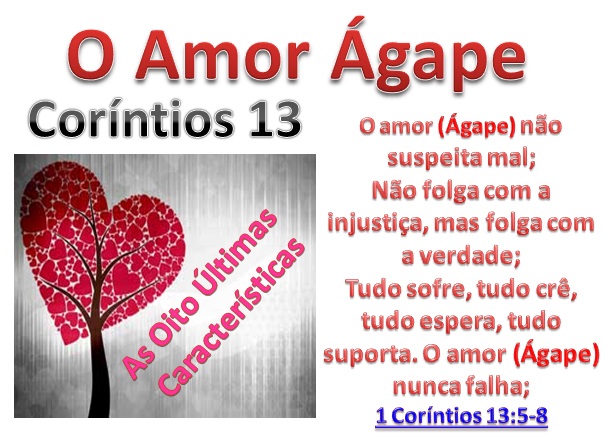 Ministério Internacional Consciência Cristã: As Características do Amor ...