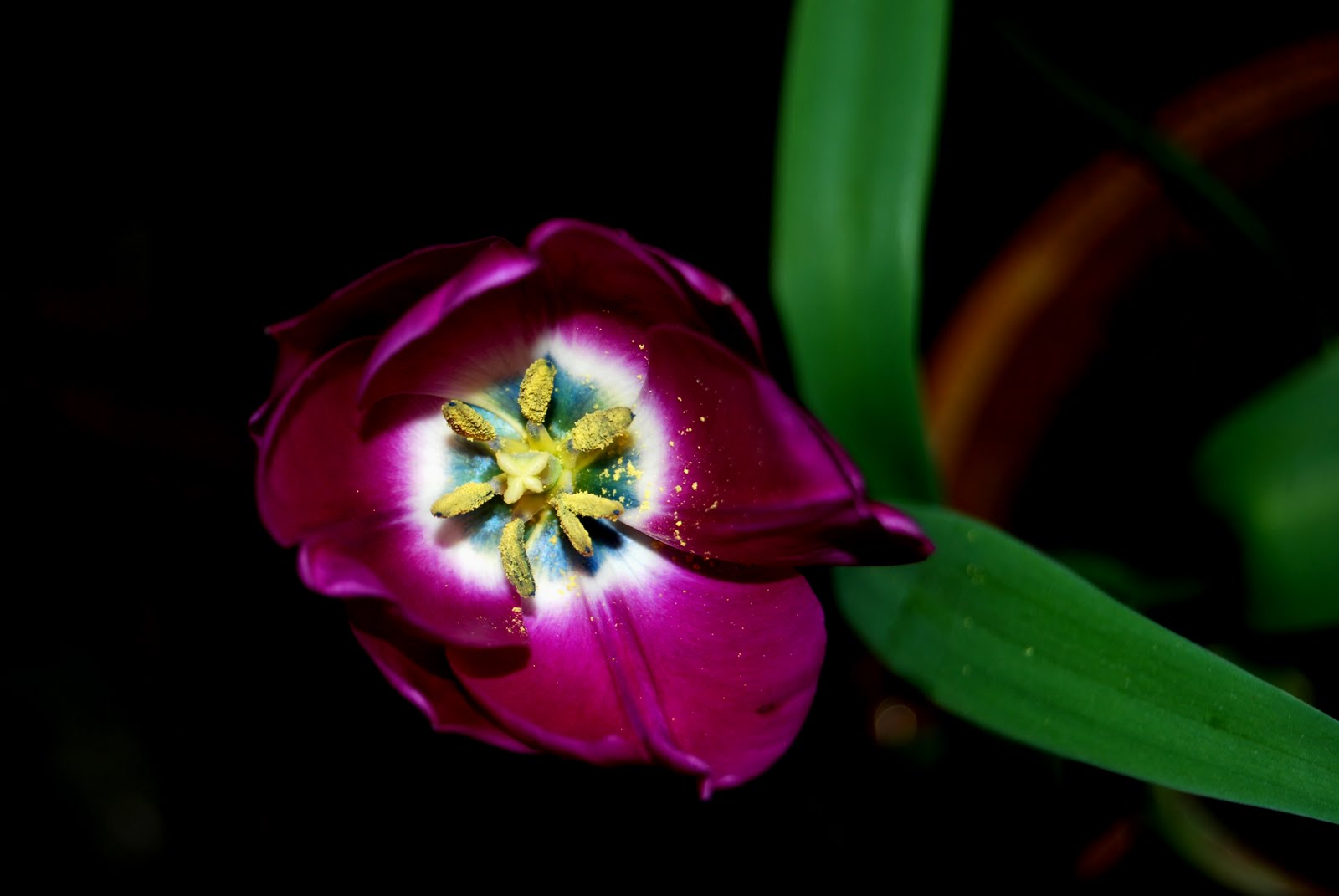 The Needle Files: April 2011