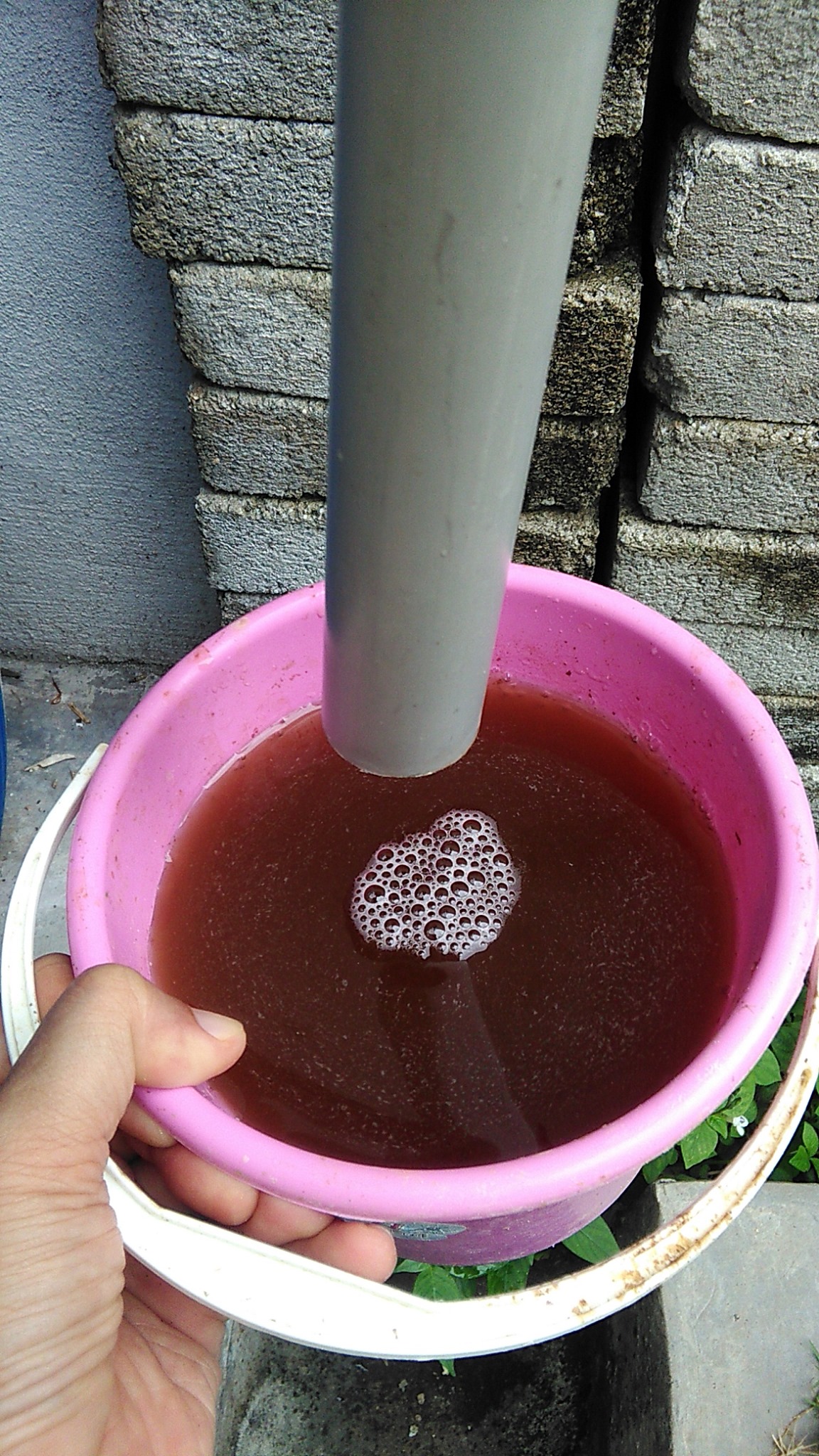 DIY Biogas: Digestate or slurry from biogas digester useful as organic ...