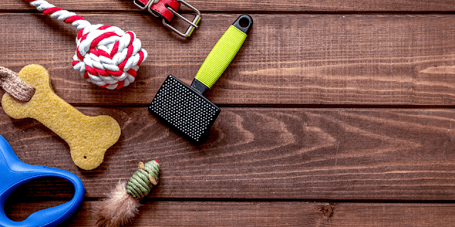 Things You Need To Know About the Personalized Pet Items - Buzz Sharing