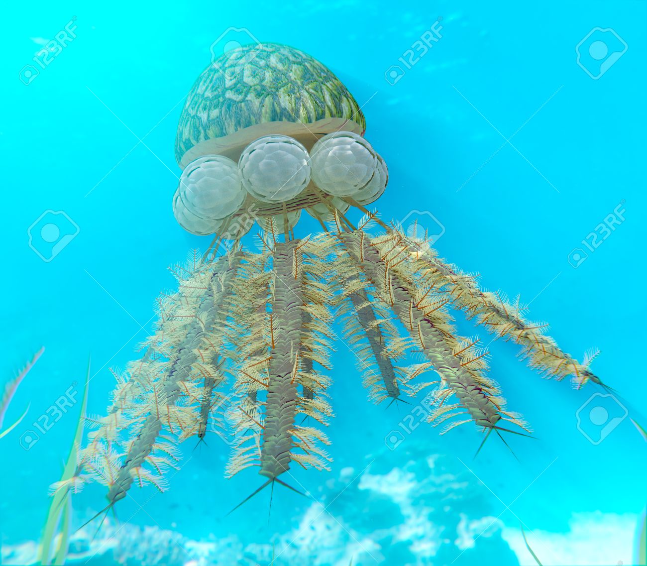 Noticias de Paleontologia: Climacograptus bicornis, un graptolite del ...