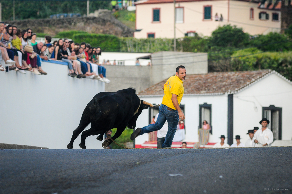 Casa Agrícola José Albino Fernandes: Imagens da Tourada nas Quatro ...