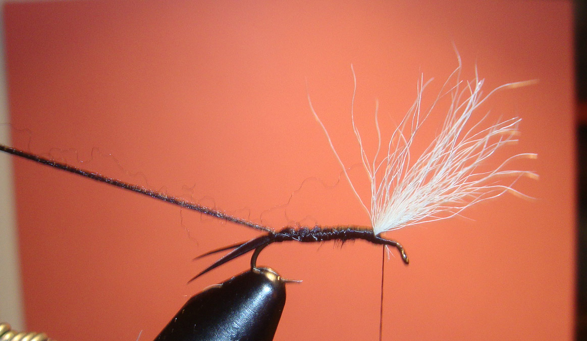 ~StreamSide Tales~: Mutant Stonefly tute