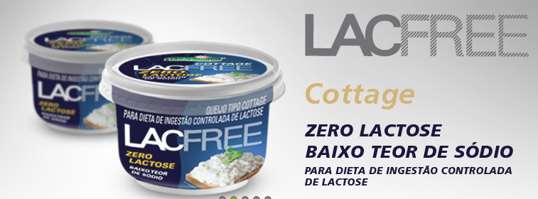 Sabor sem lactose: Queijo Cottage sem lactose