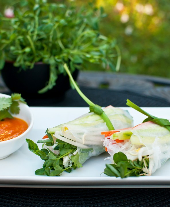 The Cilantropist: Fresh Spring Rolls with Spicy Carrot Sauce