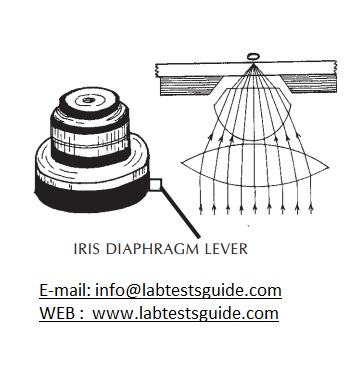 Microscope Introduction And Its Uses | Lab Tests Guide