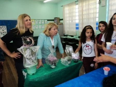 E.M.E.F.PROFª WANDA ROCHA MARTINS