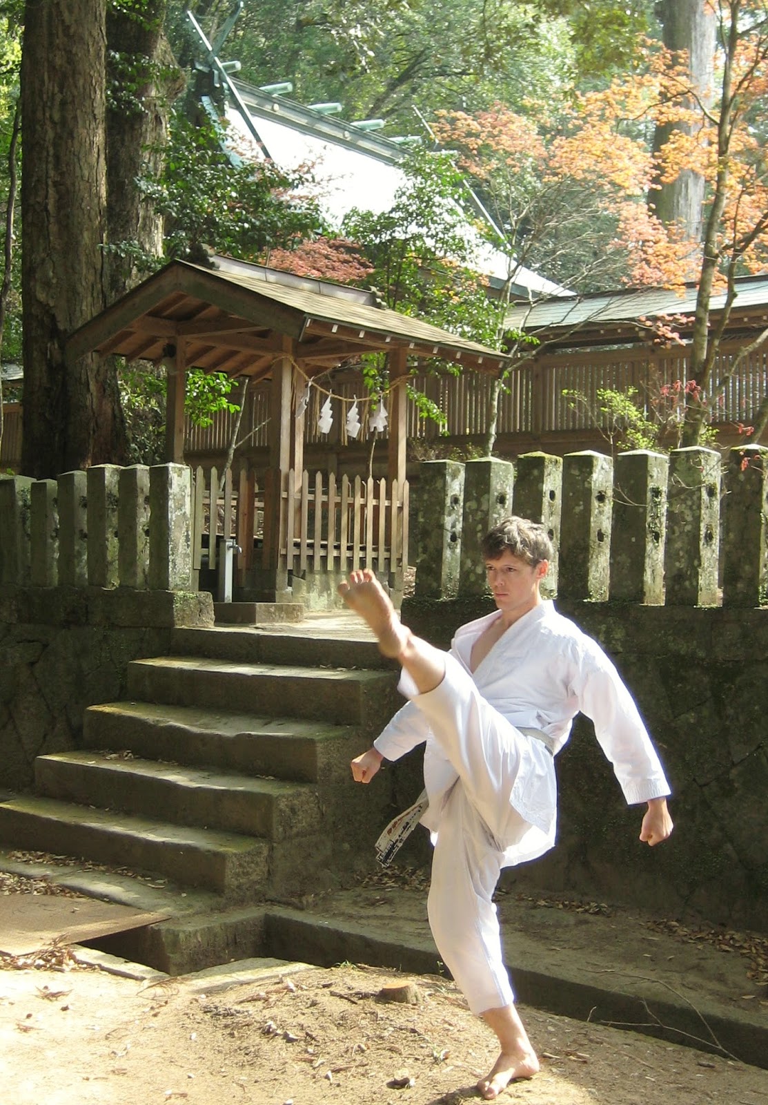 André Bertel's Karate-Do: KIHON, KATA AND KUMITE ARE ONE