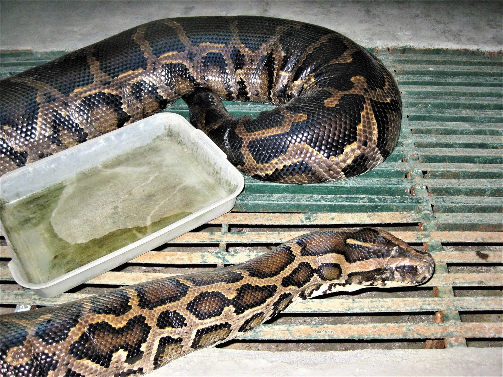 Backpacking travel & Outdoor adventure: 2009 - Backpacking to Philippines