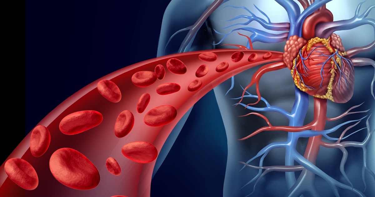 Medicina Natural "": Cardiovascular