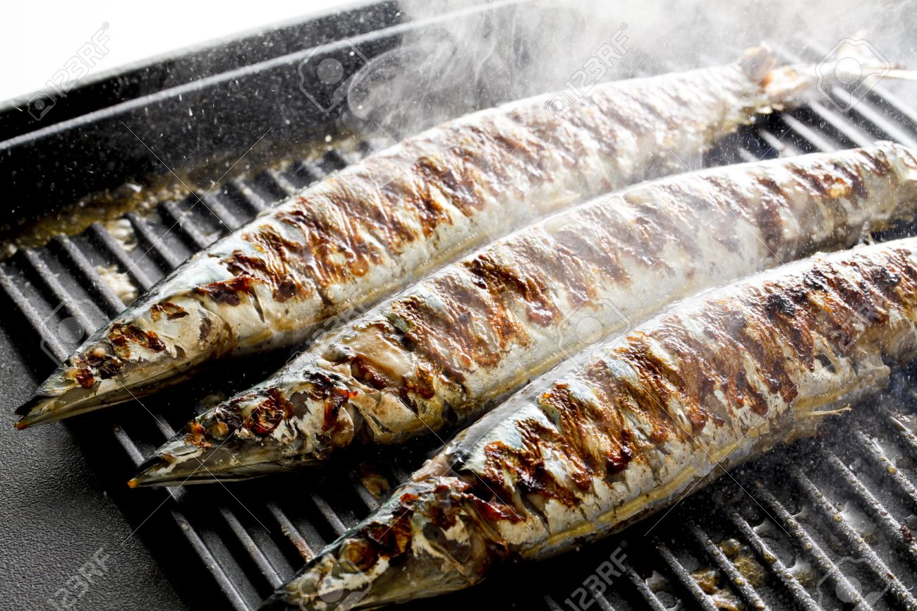 saury - images,videos about news