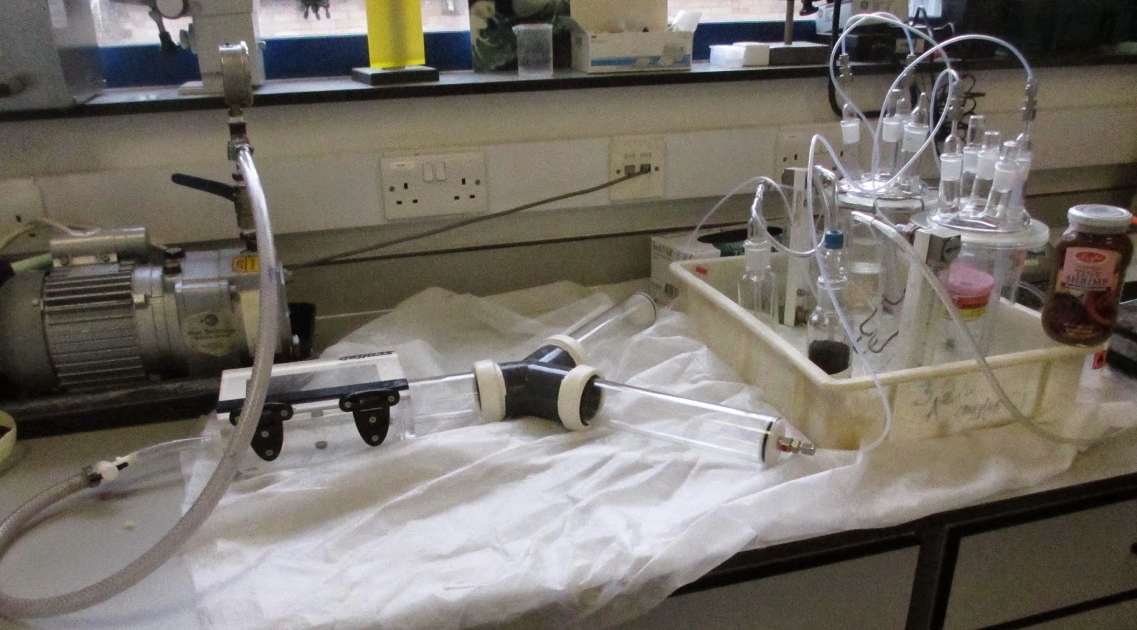 The Purple Empire: Y-Tube Olfactometer